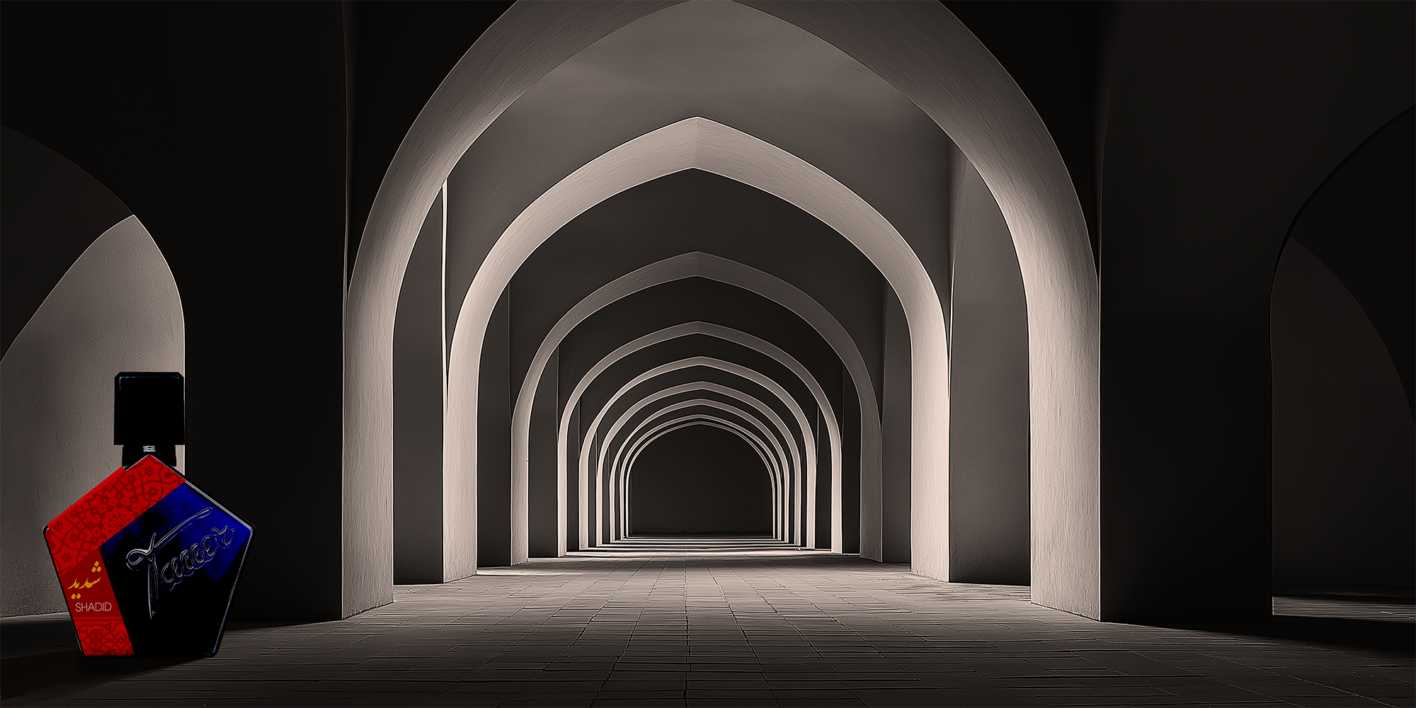 Shadid Is Back – TAUER GmbH